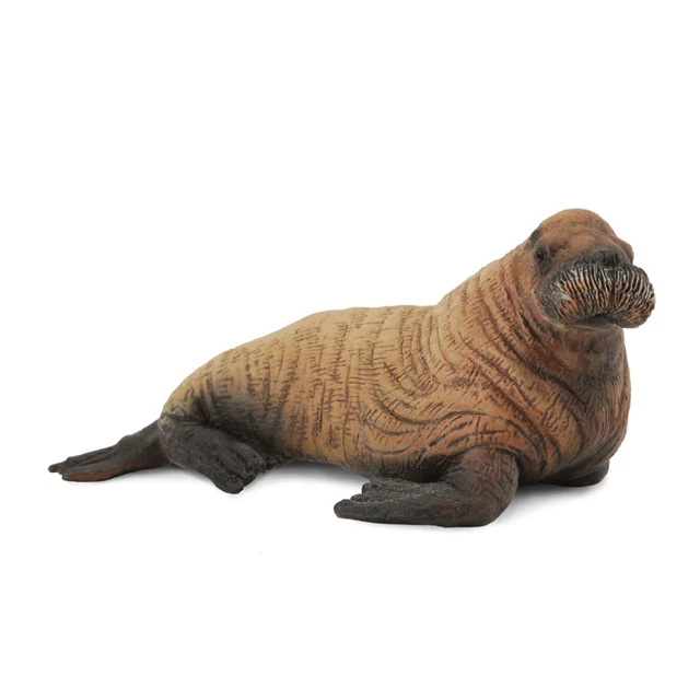 COLLECTA REALISTIC ANIMAL Replica Walrus Calf Figure Medium Ages 3 ...