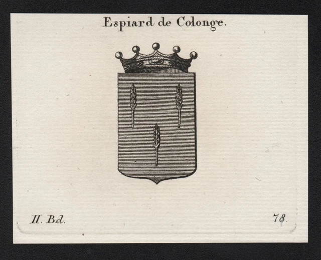 ESPIARD DE COLONGE Armoiries Coat Of Armes Gravure sur Cuivre ...