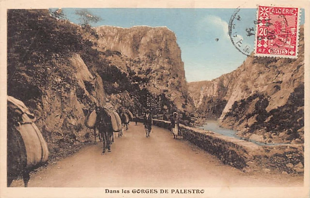 ALGÉRIE - LAKHDARIA - Dans les Gorges de Palestro - Ed. Ets. Photo ...
