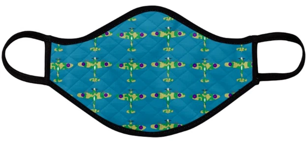 BATTLE OF BRITAIN Memorial Spitfire Hurricane RAF Plane Aeroplane Face ...