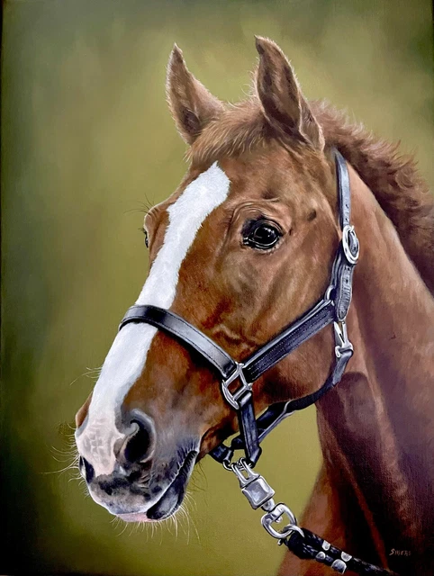 PAUL SHIERS ORIGINAL "Dawn Pastures" chestnut horse horses equine OIL ...