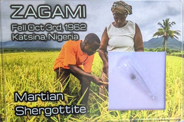 ZAGAMI MARTIAN METEORITE Shergottite RARE Witnessed Fall Fragment in ...