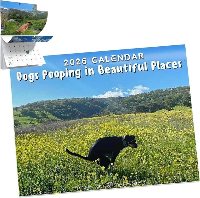 2026 CALENDAR, DOGS Pooping in Beautiful Places 2026 Funny Wall ...