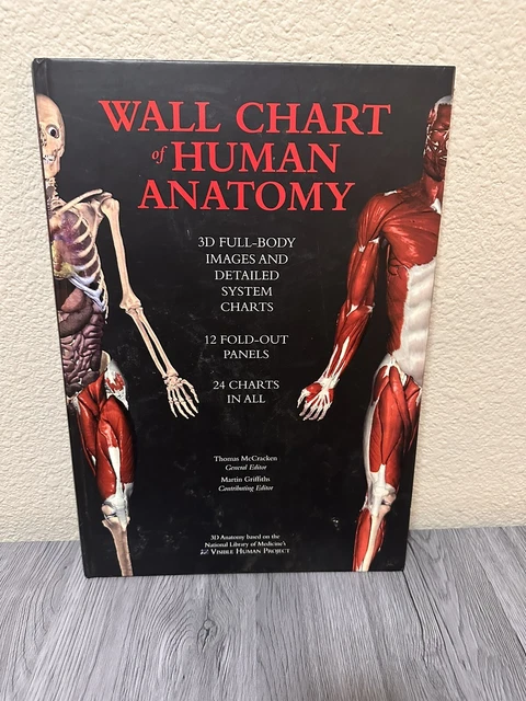 Wall Chart Of Human Anatomy 3d Full Body Images 24 Charts 12 Fold Out