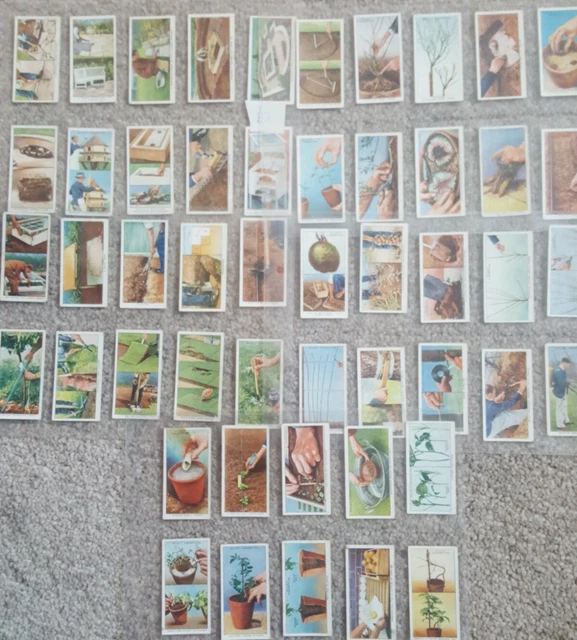 WILLS CIGARETTE TRADE Cards Garden Hints Full Set Of 50 Cards In ...