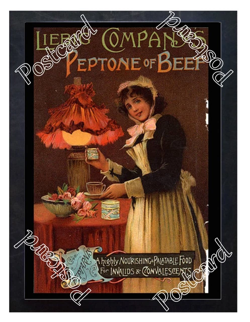 HISTORIC LIEBIG COMPANY'S Peptone of Beef , c.1890 Advertising Postcard ...