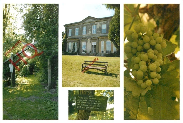 PICTURE POSTCARD>>HOTHORPE HALL, Manor House & Garden Views £2.29 ...