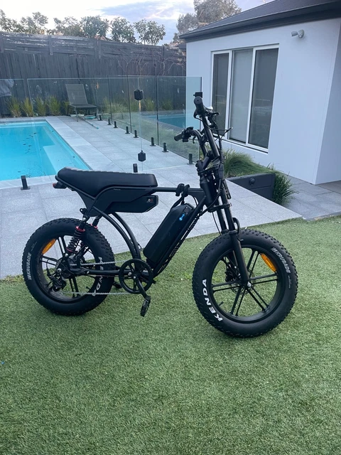 E-BIKE ZEPHYR CRUISE X29 Dual Battery - LIKE NEW - USED ONLY COUPLE OF ...
