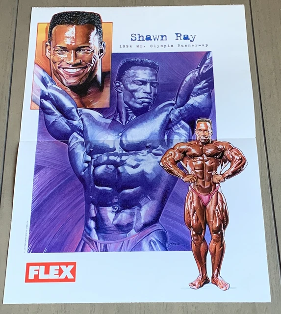 SHAWN RAY/MELISSA COATES Bodybuilding Muscle Fitness Poster From FLEX ...