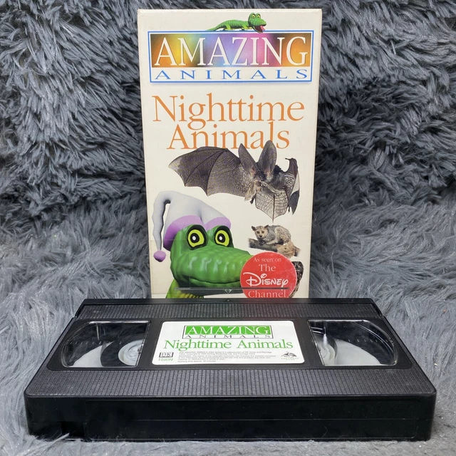 HENRYS AMAZING ANIMALS Nighttime Animals VHS Disney Channel TV Show DK ...