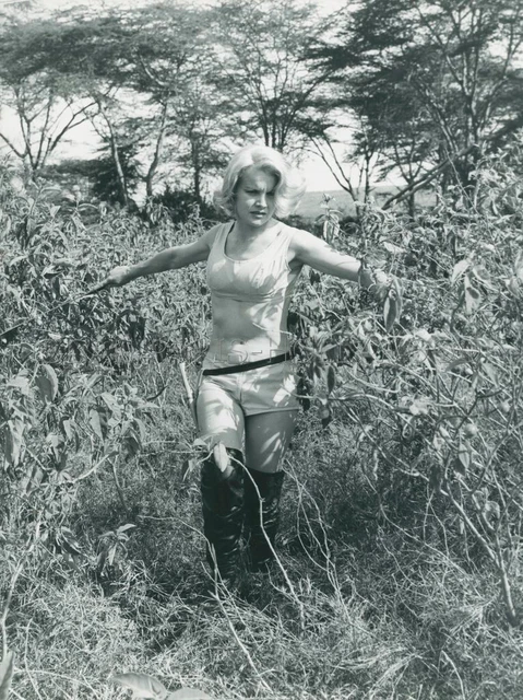 CARROLL BAKER MISTER Moses 1965 Photo Original #111 EUR 24,99 - PicClick FR