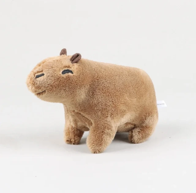 CAPYBARA SOFT COSY Plush Teddy Cute Gift (18cm) UK 🇬🇧 - Fast Delivery ⏩ ...
