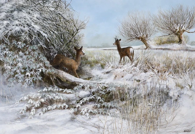 KEN TURNER - Original Oil Painting -Roe Deer in the Snow. £495.00 ...