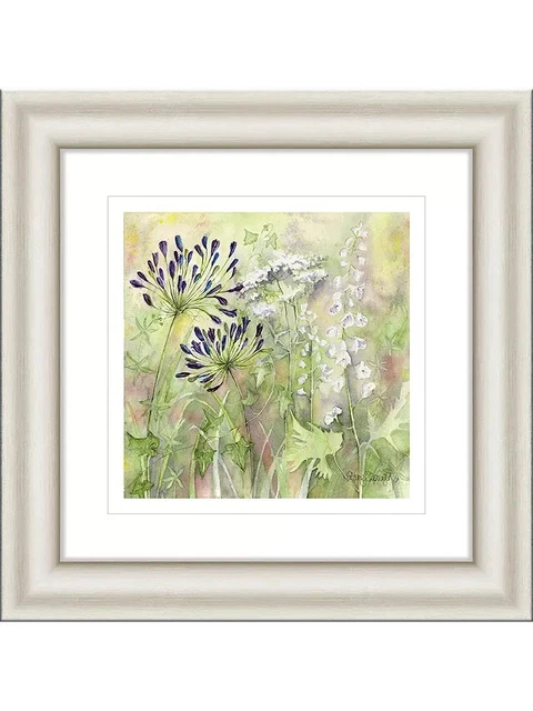 JOHN LEWIS CATHERINE Stephenson - 'Agapanthus Grasses I' Framed Print ...