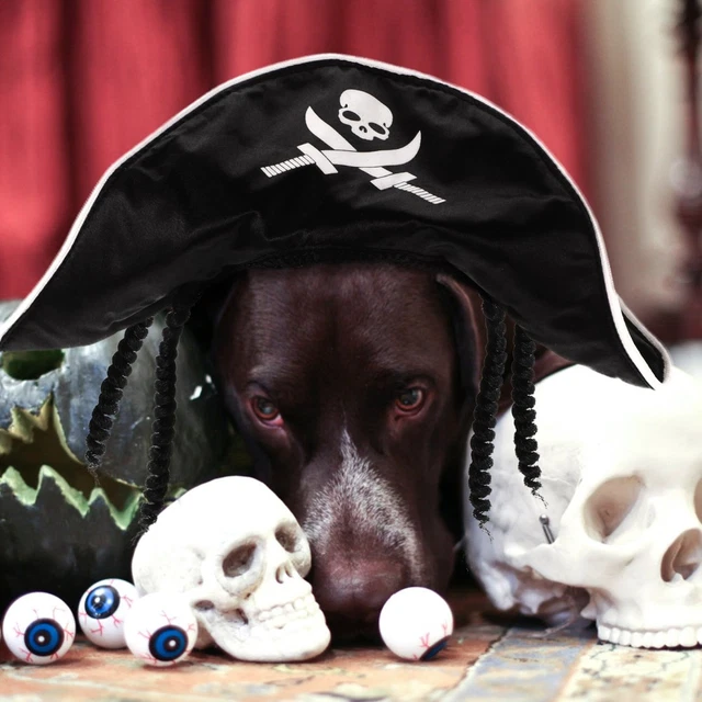 PIRATE COSPLAY COSTUME Pet Hat Black Short Plush Material for Halloween ...