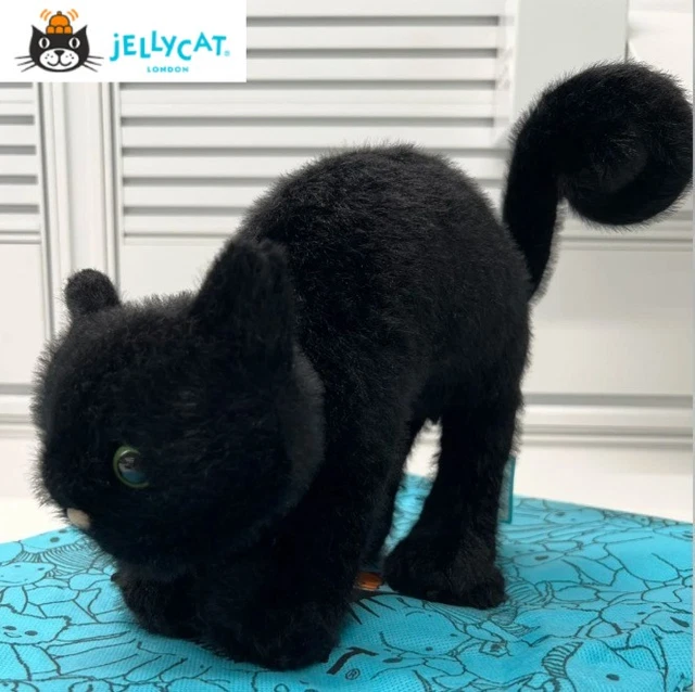 JELLYCAT HALLOWEEN SPOOKIPAWS Cat: 2025 20CM Soft Toy BNWT W/ Dust Bags ...