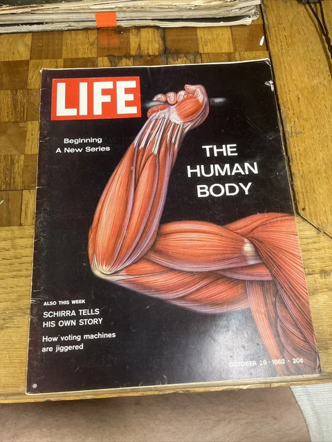 LIFE MAGAZINE OCTOBER 26 1962 THE HUMAN BODY 7R £21.54 - PicClick UK