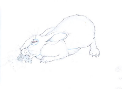 WATERSHIP DOWN 1978 Production Animation Cel Drawing with LJE COA 023 ...