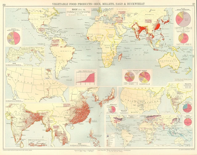 1928 MAP ~ World's Commodities ~ Rice Millets Sago & Buckwheat ...