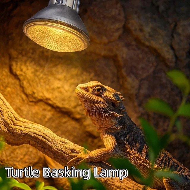FULL SPECTRUM PET Heating Bulb E27 Base UVA Light Bulb Snake Terrarium ...