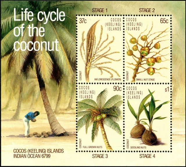 1988 COCOS (KEELING) Islands Life Cycle Of A Coconut Mini Sheet MNH ...