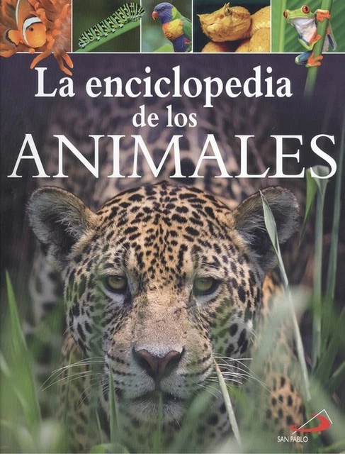 LA ENCICLOPEDIA DE los animales EUR 16,63 - PicClick FR LA ENCICLOPEDIA DE los animales EUR 16,63 - PicClick FR
