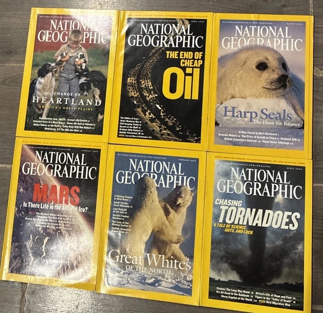 NATIONAL GEOGRAPHIC MAGAZINE 2004- Lot 6 Issues No Maps £5.86 - PicClick UK