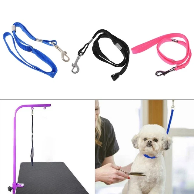 DOG GROOMING DOG Bathing Tether Strap Heavy Duty Nylon Restraint Noose ...