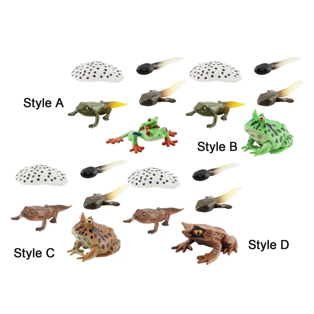 FROGS LIFE CYCLE Model Life Cycle Figurines Playset Learning Prop ...