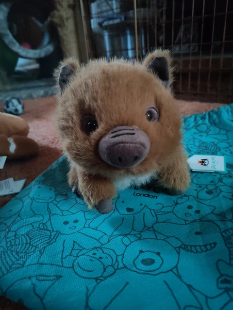 JELLYCAT SWINLEY BOAR Plush Toy - Brand New with Tags & Dust Bag, Fast ...