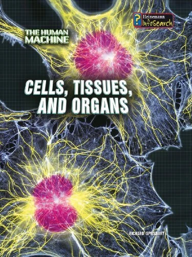CELLS, TISSUES, AND Organs (The Human Machine),Richard Spilsbury £3.42 ...