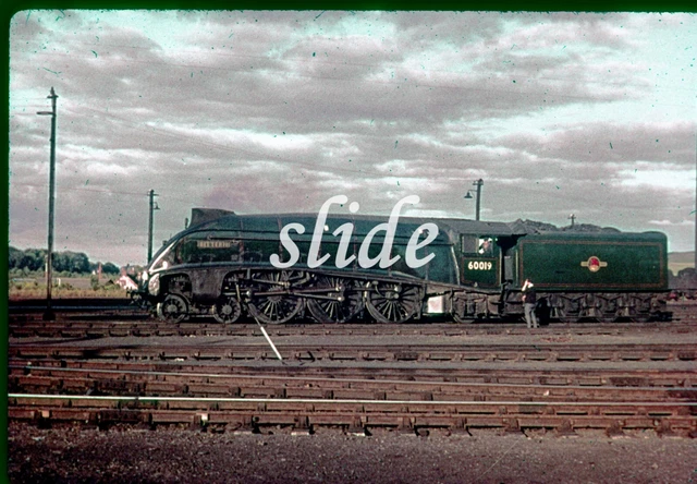 BRITISH RAILWAYS LNER 4-6-2 Steam Locomotive A4 60019 Perth 1965 Colour ...