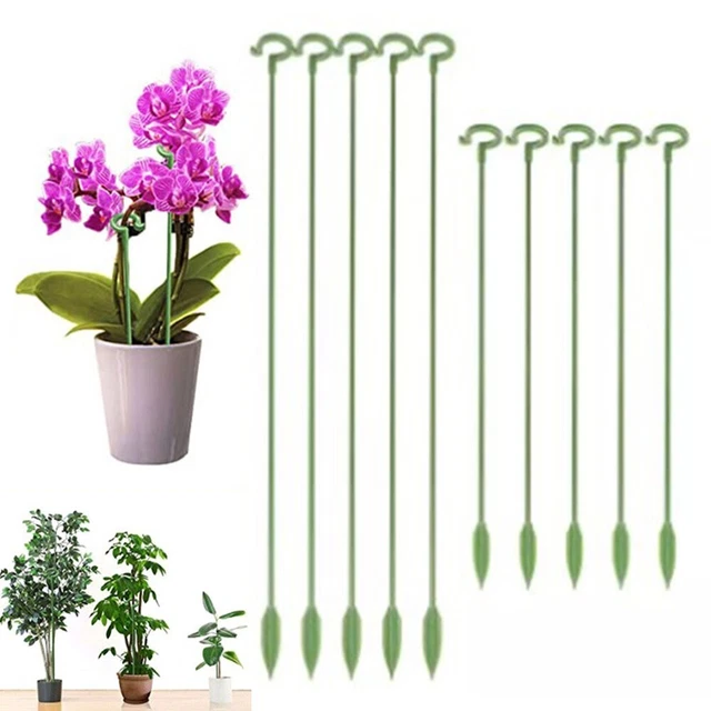 MAINTENIR LA POSITION verticale de vos plantes ?? tige avec un support ...