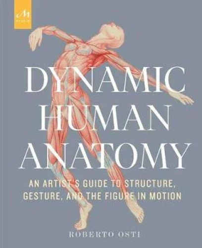 DYNAMIC HUMAN ANATOMY: An Artist's Guide to Structure, Gesture, and the ...