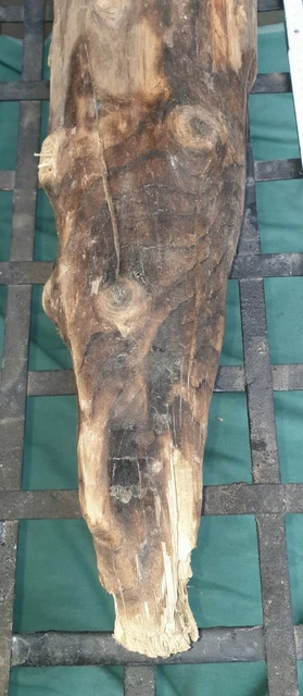 TREIBHOLZ XXL SCHWEMMHOLZ Driftwood altholz Brett Blanke Dekoration ca ...