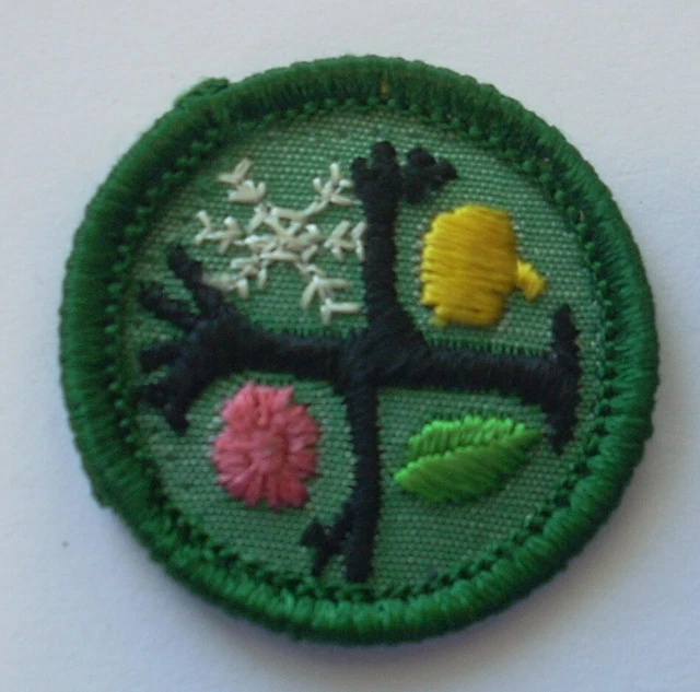 VINTAGE GIRL SCOUT BADGE - Observer - pinstripe background - plastic ...