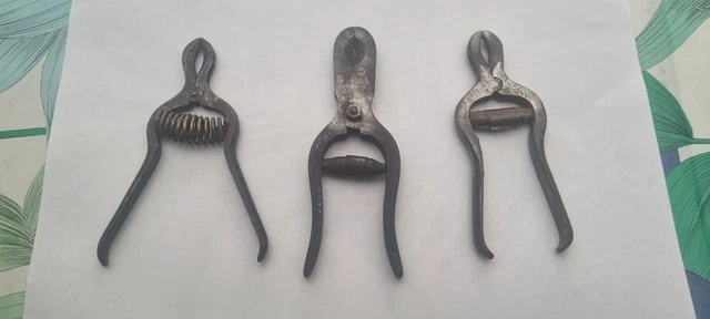 OUTILS TRAVAIL de la vignes 3 pince a inciser EUR 40,00 - PicClick FR