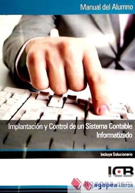 MANUAL IMPLANTACIÓN Y control de un sistema contable informatizado EUR 9,88 - PicClick FR