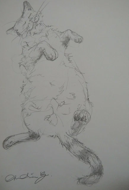 EXPRESSIVE PENCIL GRAPHITE sketch drawing of a cat sleeping lying on ...