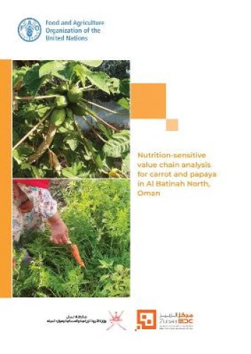 NUTRITION-SENSITIVE VALUE CHAIN analysis for carrot and papaya in Al ...