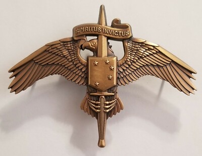 MARSOC USMC MARINE Corps Forces SOCOM Special Operations Command ...