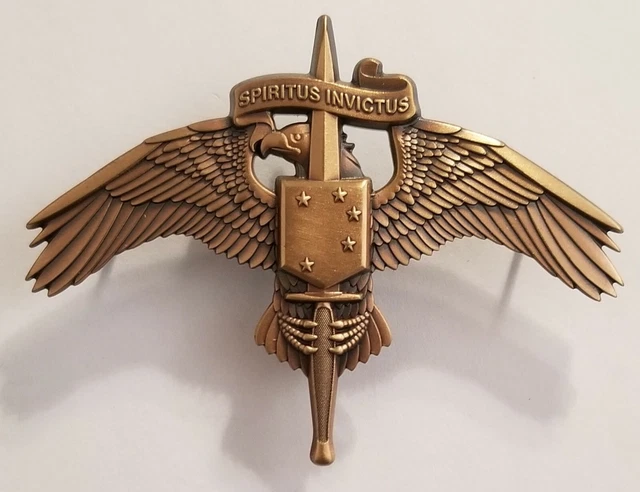 MARSOC USMC MARINE Corps Forces SOCOM Special Operations Command ...