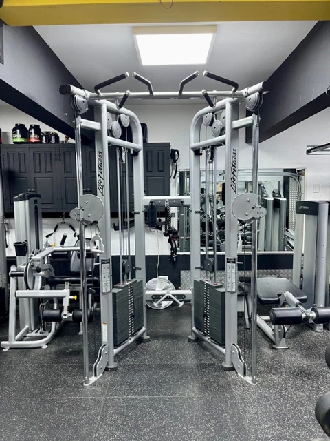 LIFE FITNESS SIGNATURE Series Dual Adjustable Pulley DAP Cable ...