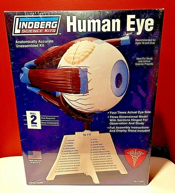 LINDBERG HUMAN EYE Model Kit 4X Scale Anatomically Accurate New in Box ...