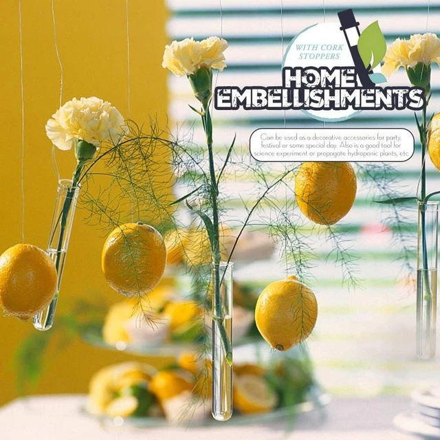 10PCS CLEAR TEST Tube Plastic Burette Science Tubes Candy Storage $18. ...