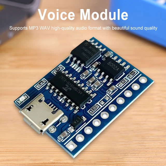 VOICE MODULE PLAYING Serial Port Voice Chip Control Module USB 2.0 ...