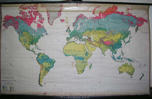 SCHOOL WALL MAP Beautiful Old World Map Vegetation 203x124cm Vintage ...