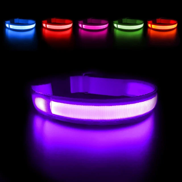 3 MODES LED Rechargeable Dog Collar – Purple, Waterproof, Secure for ...