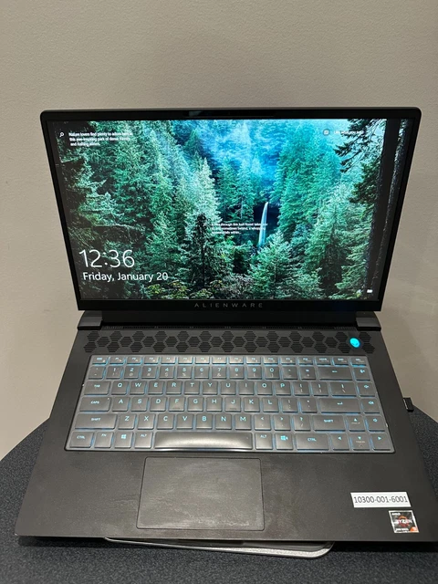 ALIENWARE M15 R5 15.6" 360Hz 1ms 32GB Gaming Laptop, AMD Ryzen 9 5900HX ...