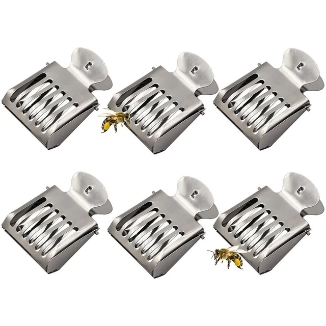 BEEHIVE QUEEN BEE Cages Clip Insect Catcher Beekeeping Clips Stainless ...